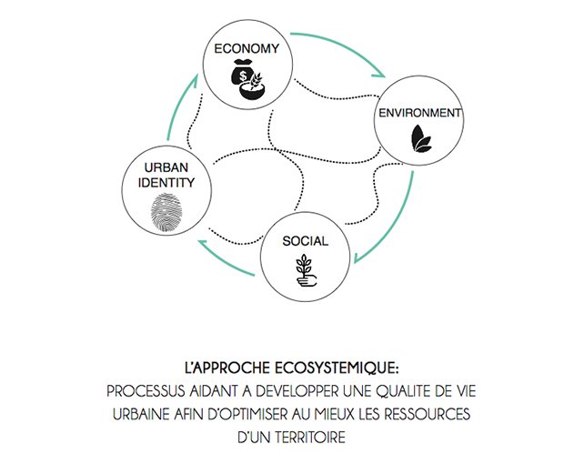 Pour une approche écosystémique de l'espace urbain | Demain la Ville