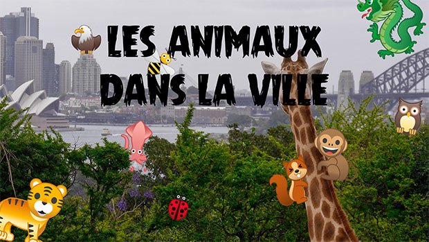 Pourquoi la ville déteste les animaux ? | Demain la ville