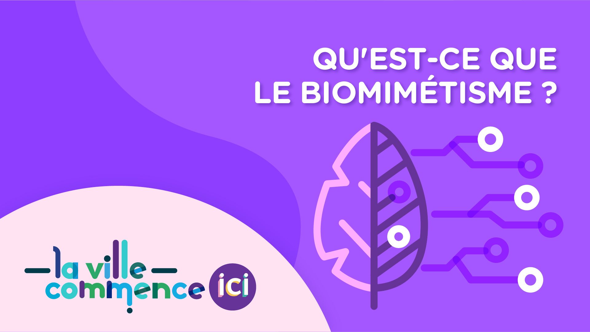 Qu'est-ce que le biomimétisme